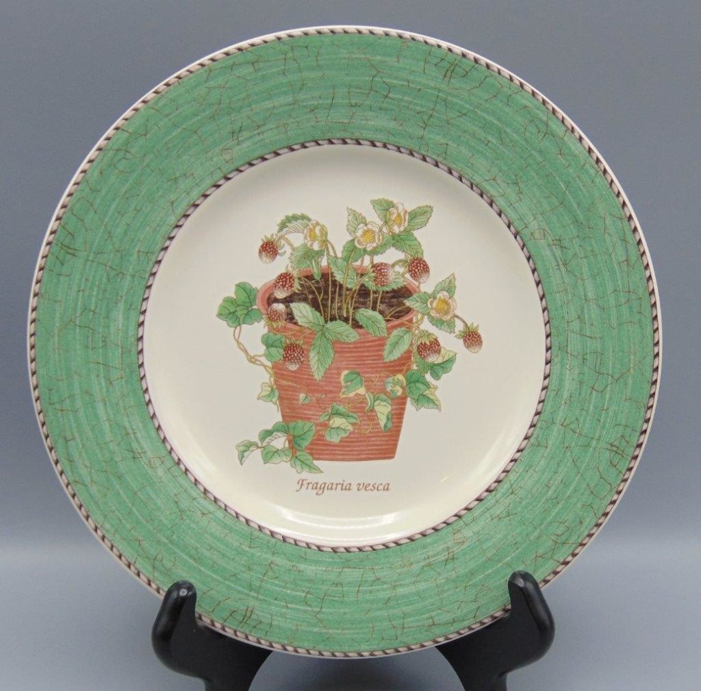 Wedgwood Sarah's Garden Fragaria Vesca Queen's Ware 1997 8 1/8 Plate ...